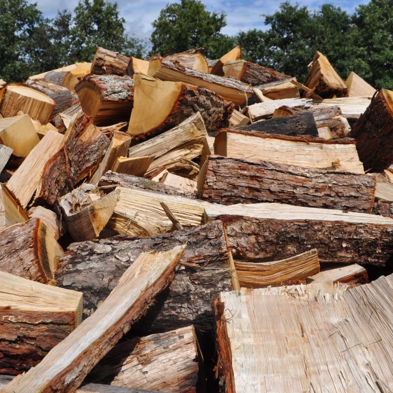 Hout op stam kopen in Noord-Limburg? Houthandel Smets